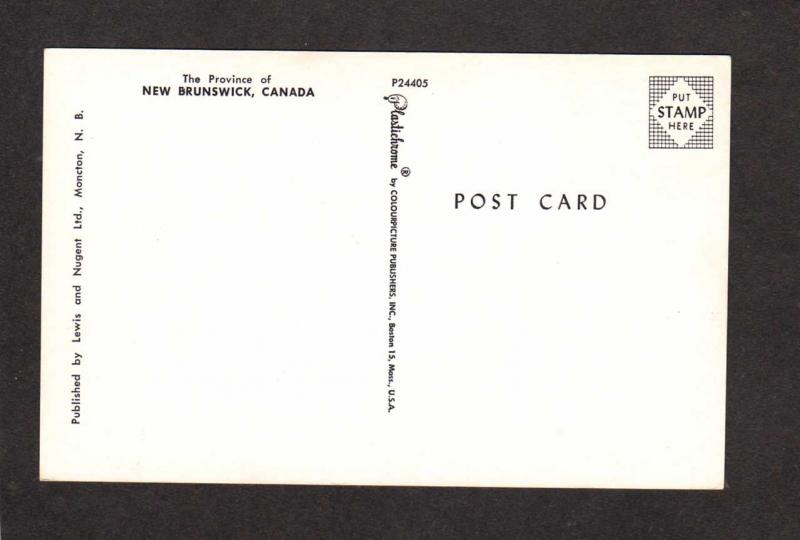 NB New Brunswick Canada Province Map Newcastle Woodstock Perth Carte ...