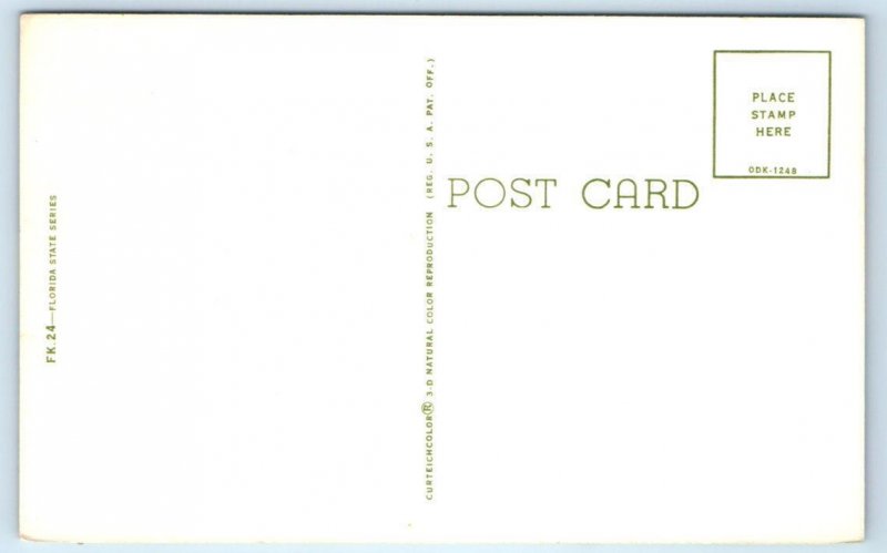 2 Postcards FORT DE SOTO, Mullet Key Florida FL ~ Beach & Fishing Pier ...