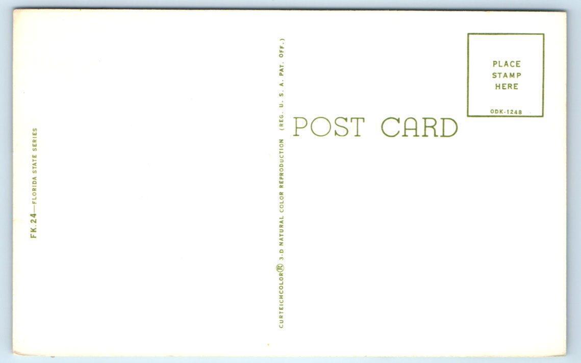 2 Postcards FORT DE SOTO, Mullet Key Florida FL ~ Beach & Fishing Pier ...