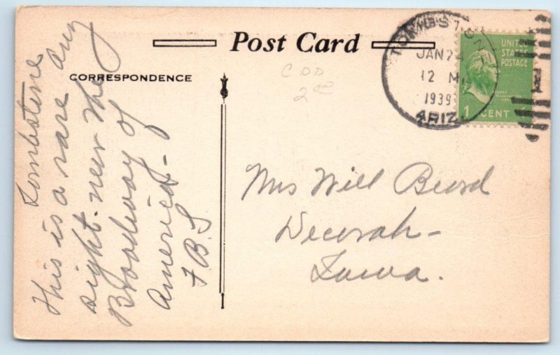 TOMBSTONE, Arizona AZ ~ World's Largest Rose Bush ROSE TREE INN 1939 ...