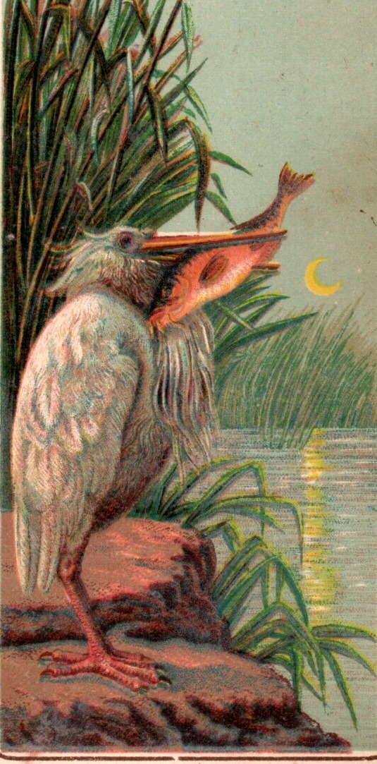 1880s A.B. Jones Card Printer Egret Crane Fox Rabbit Lot Of 2 Fab! #5R ...