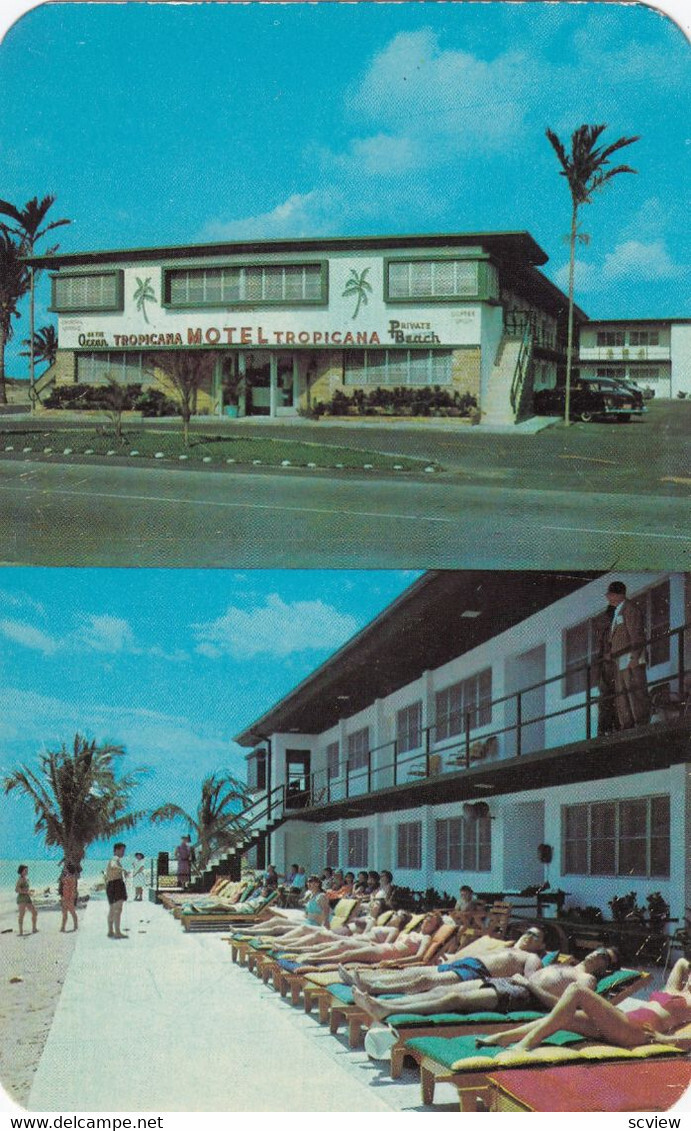 MIAMI BEACH , Florida , 1950-60s ; Tropicana Motel | United States ...