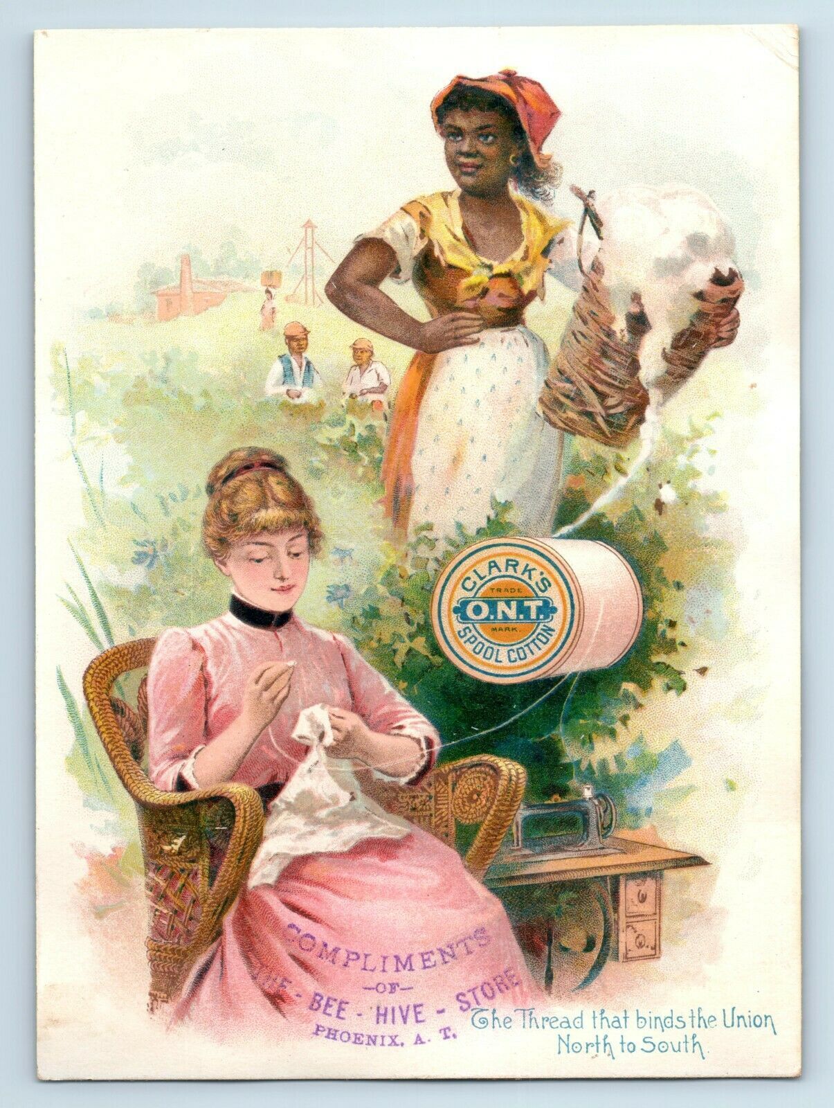 1880s Clark's ONT Spool Cotton Phoenix Arizona Territory Picking Cotton ...