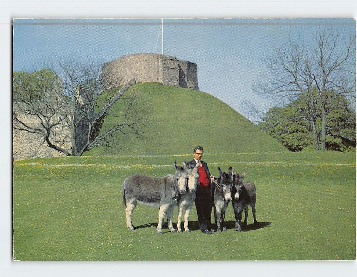 Postcard Carisbrooke Castle Isle of Wight The Donkey's with Keep in ...