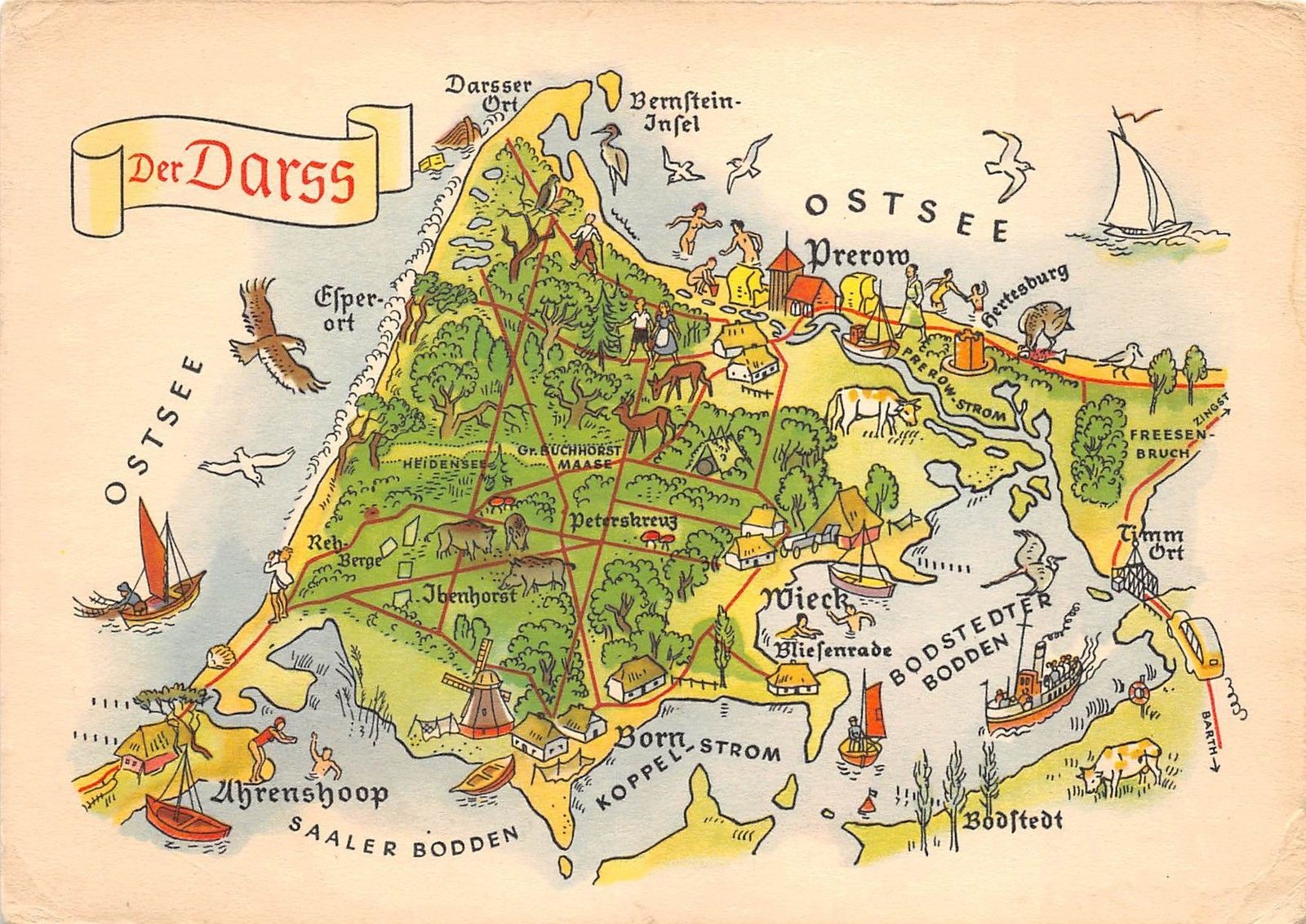 B34480 Der Darss Map Cartes Geographique germany | Europe - Germany ...