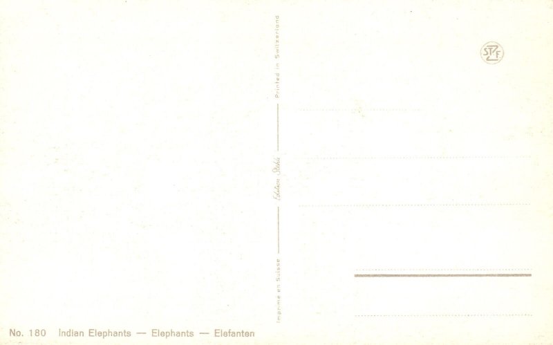 Vintage Postcard Indian Elephants and its Baby Park Zoo Animals | Asia ...