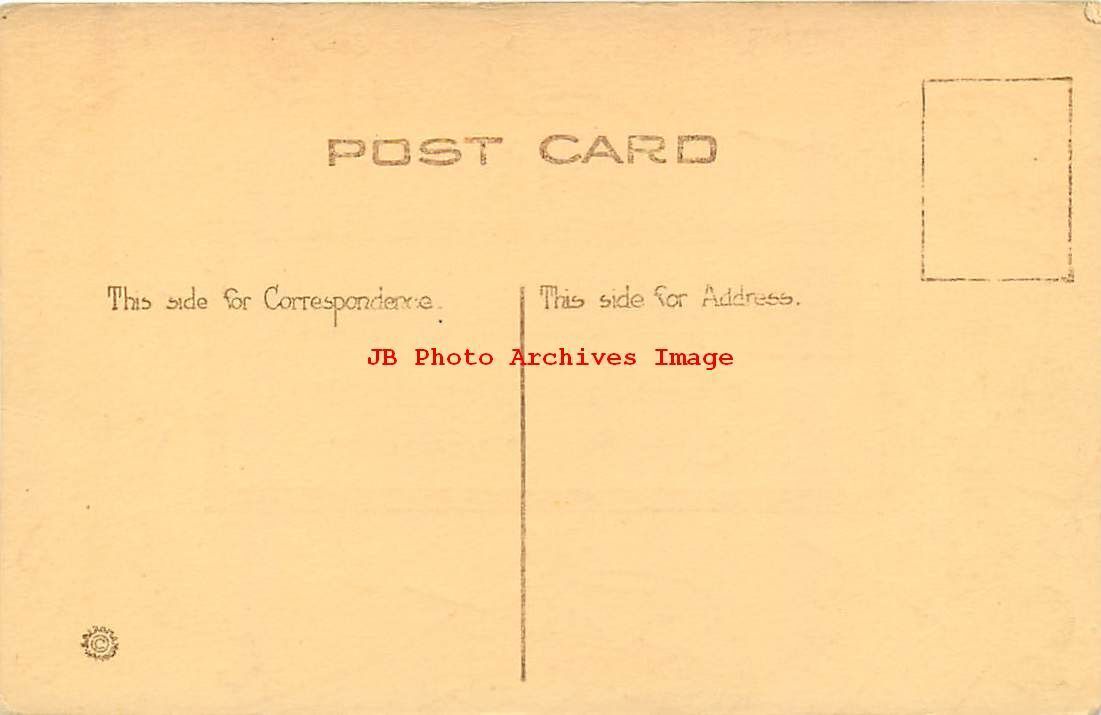 Halloween, Bergman No BER02-1, Spider Web Catches Moon & Witches ...