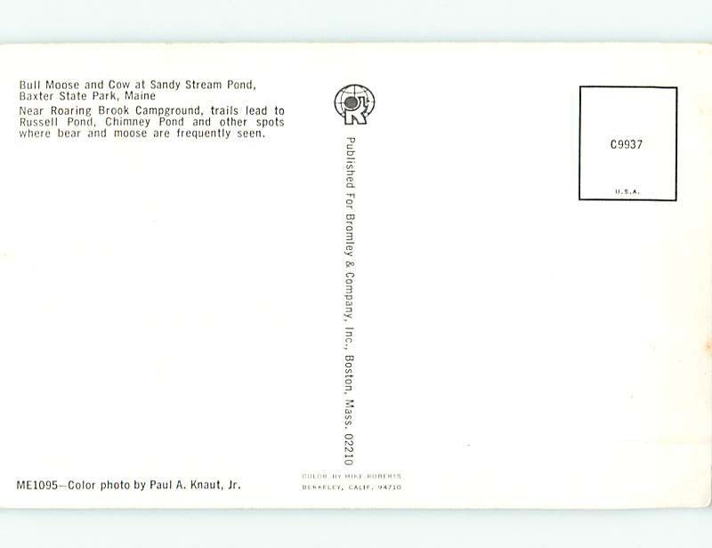 Pre-1980 MOOSE IN WATER Baxter State Park - Millinocket Maine ME E8912 ...