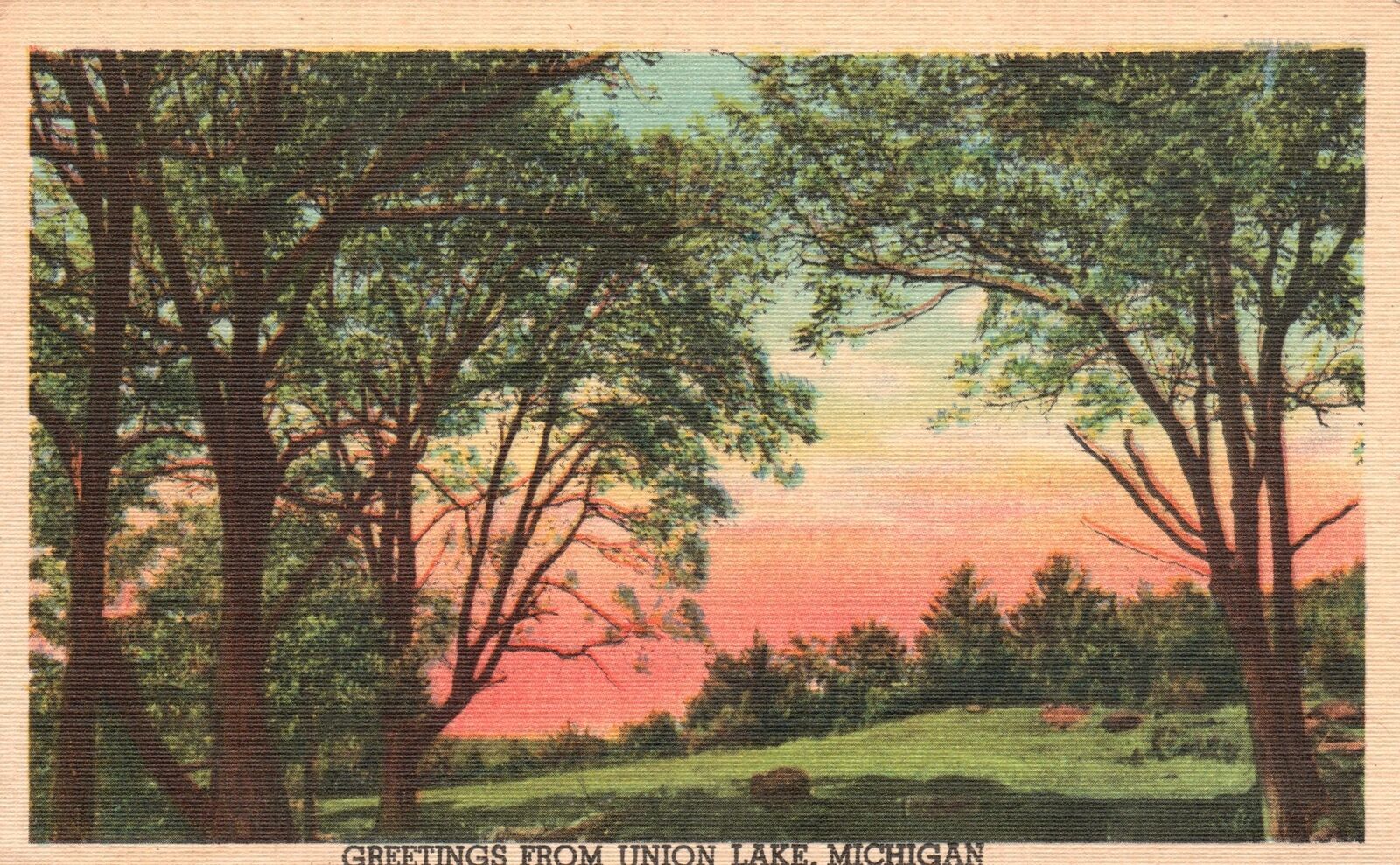 Vintage Postcard Great Things From Union Lake Michigan Trees Sunset ...