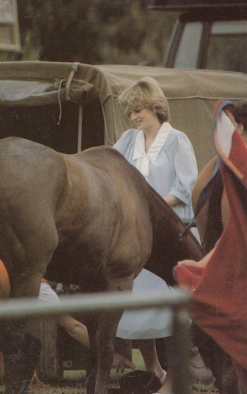 Princess Diana With Horse Cattle Can You Reach It Royal Postcard ...