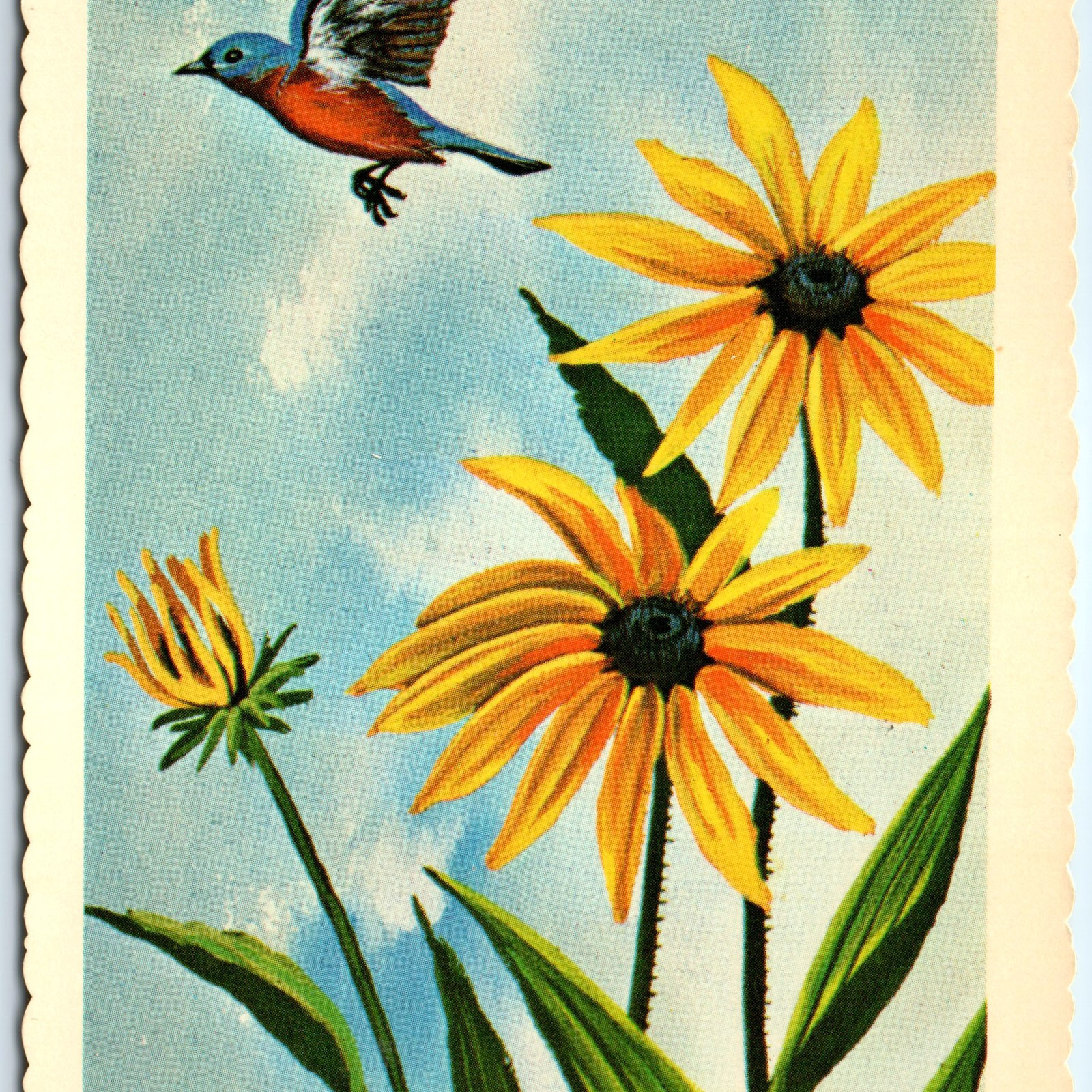1966 MD Maryland State Flower Black-eyed Susan Bird Ken Haag Painted ...