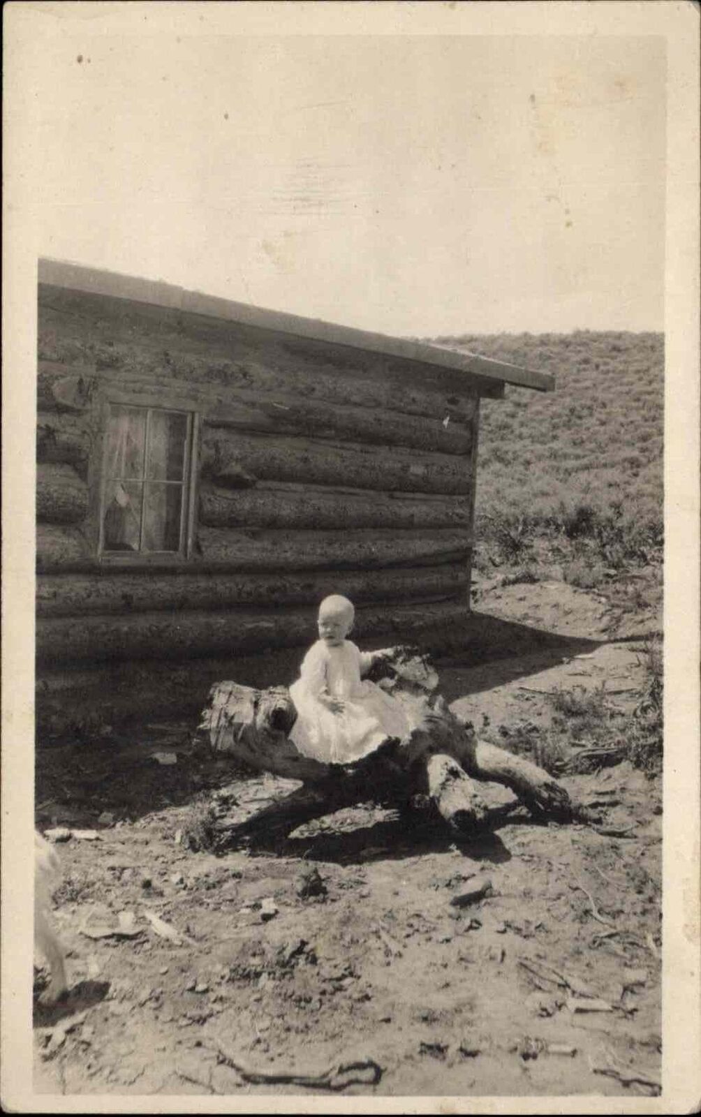 Bizarre, Unusual Wood Carving Baby Sitting on Frog & Log Cabin c1910 ...