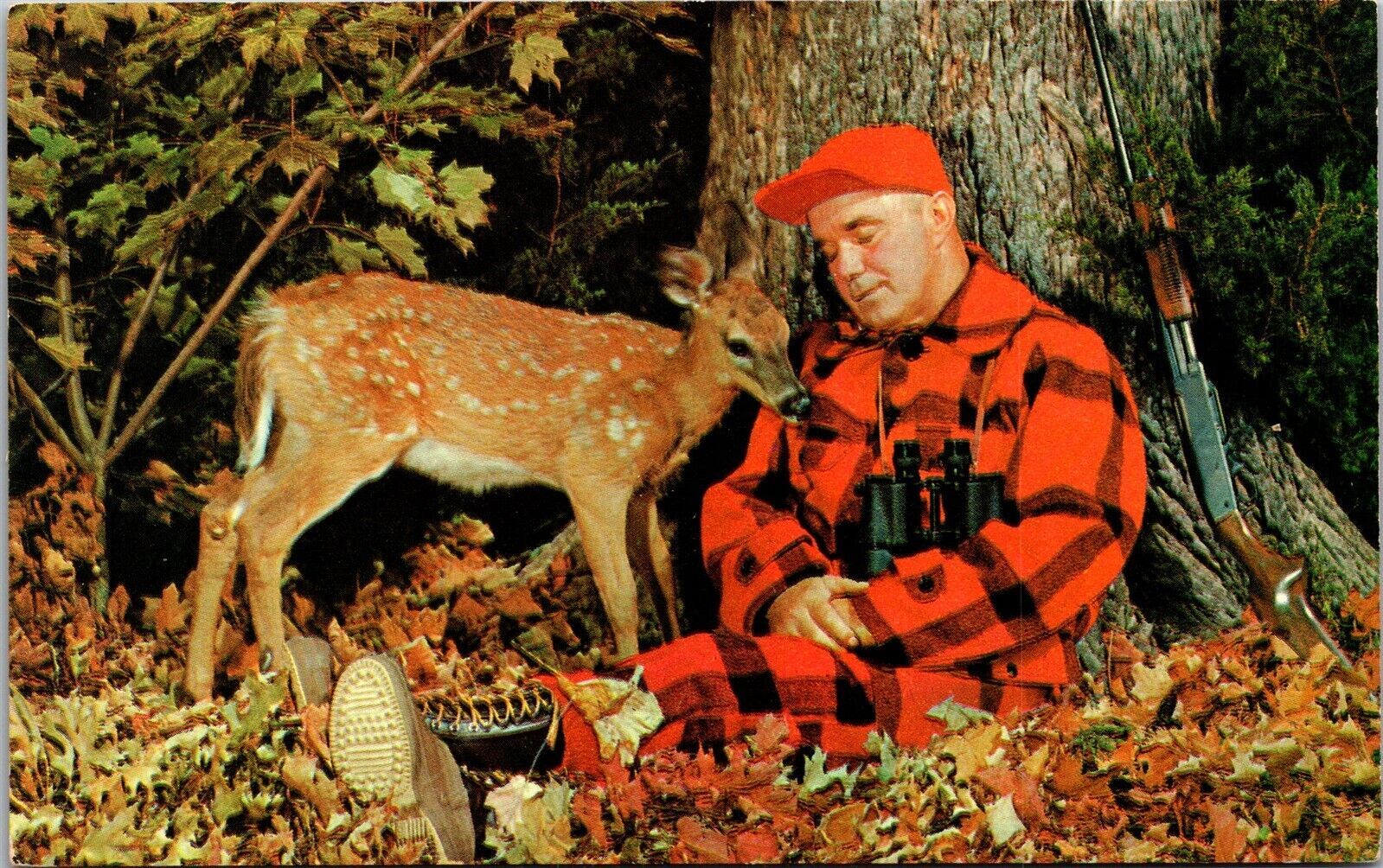 Vtg White Tail Deer with Sleepy Hunter Sleeping Shotgun 1950s Chrome ...