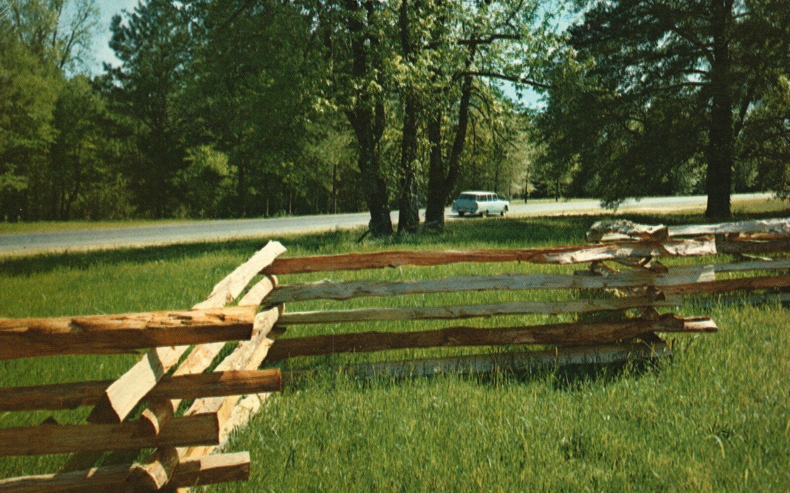 Postcard Natchez Trace Parkway Split Forest Trail Fence Interesting ...