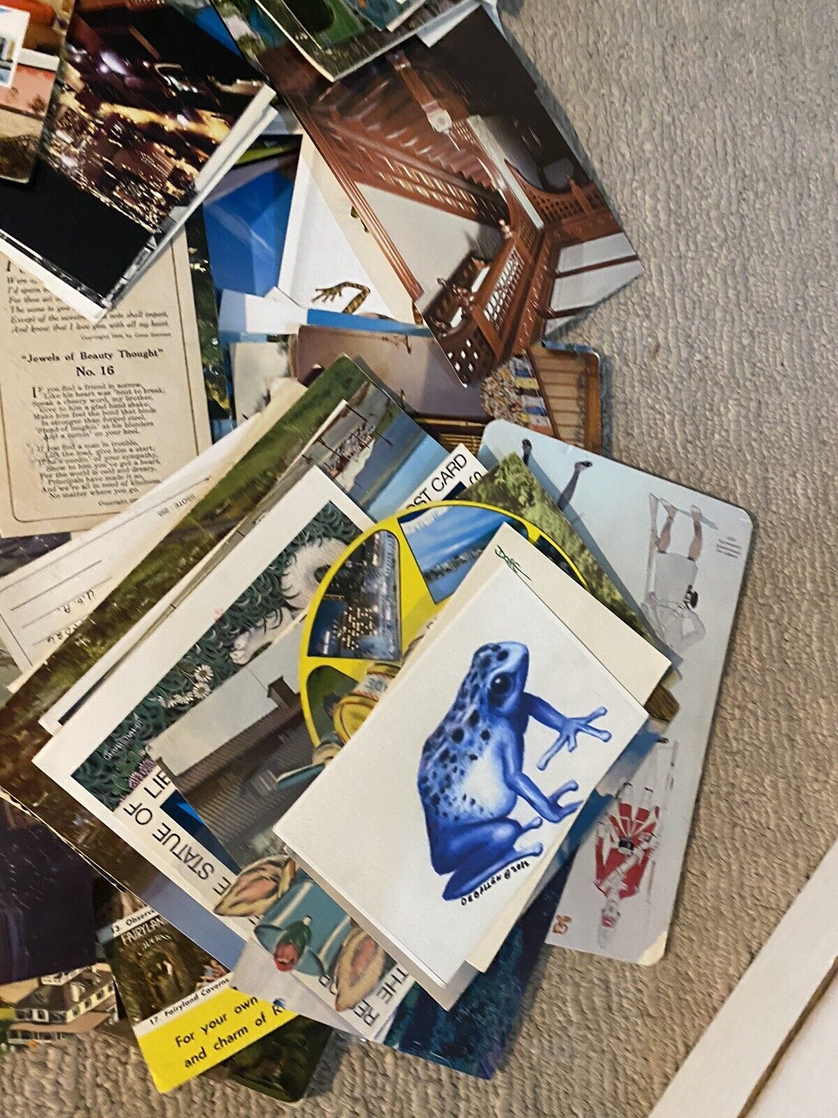 5-Pound Box of Giant Vintage Postcards Collection extra Large Folders ...