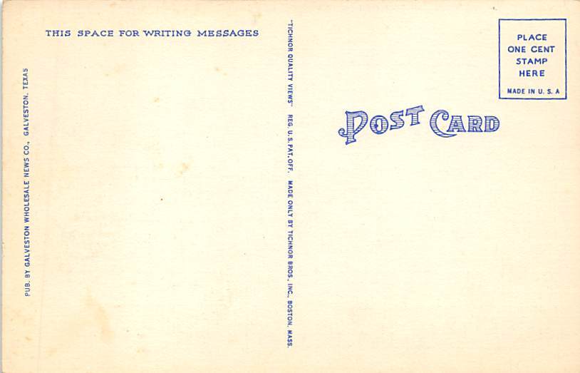 The Mosquito Fleet At Pier 20 Postcard | Topics - Animals - Insects ...