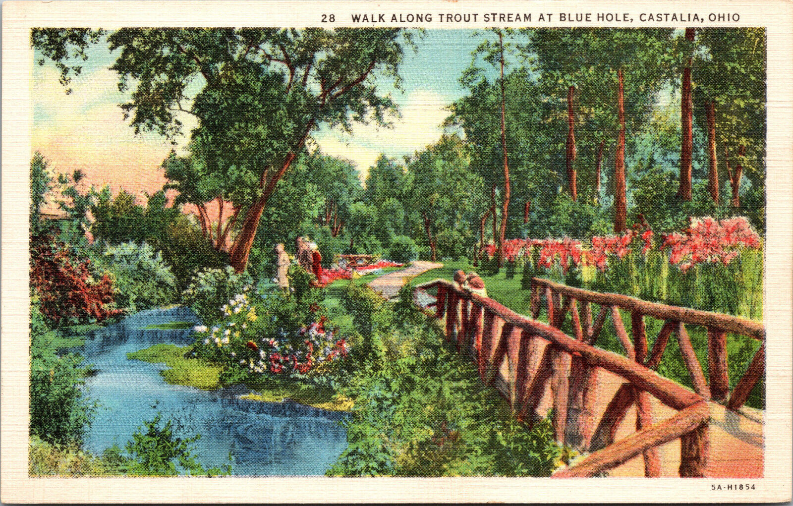 Castalia, Ohio Trout Stream, Blue Hole, Wooden Bridge, WIld Flowers-A35 ...