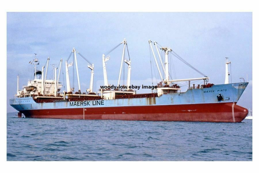 mc4272 - Danish Cargo Ship - Maersk Pinto , built 1971 - photo 6x4 ...