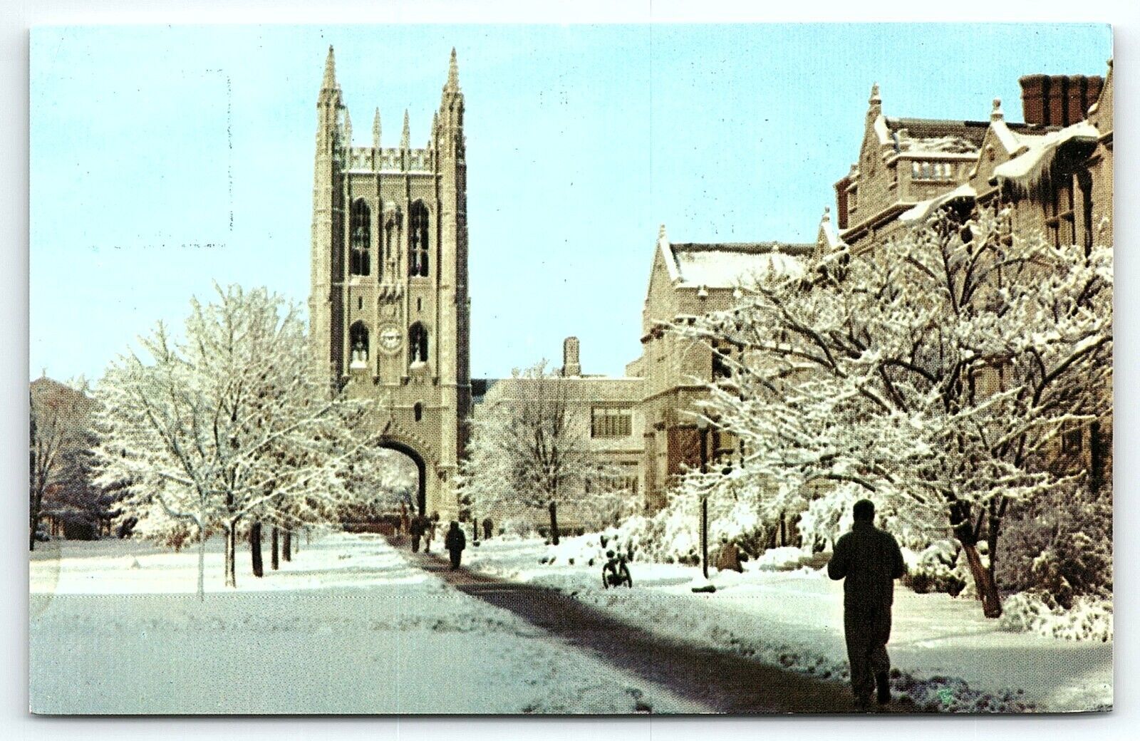 Vintage University Of Missouri