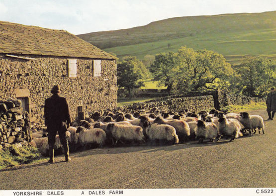 Farmer & 1970s Farm on Yorkshire Dales Old Postcard | Europe - United ...