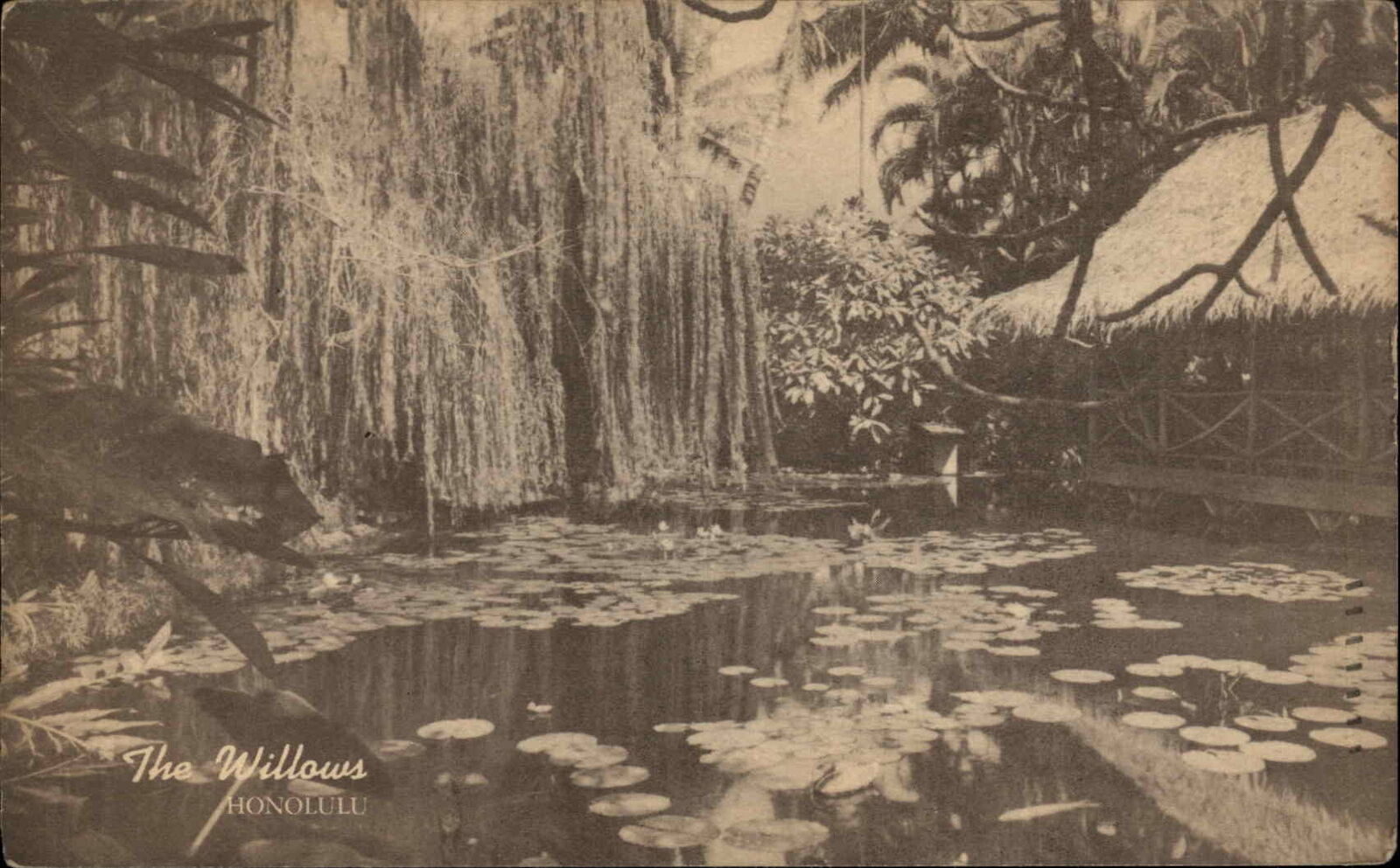 Honolulu Hawaii HI The Willows Water Scene Vintage Postcard | United ...
