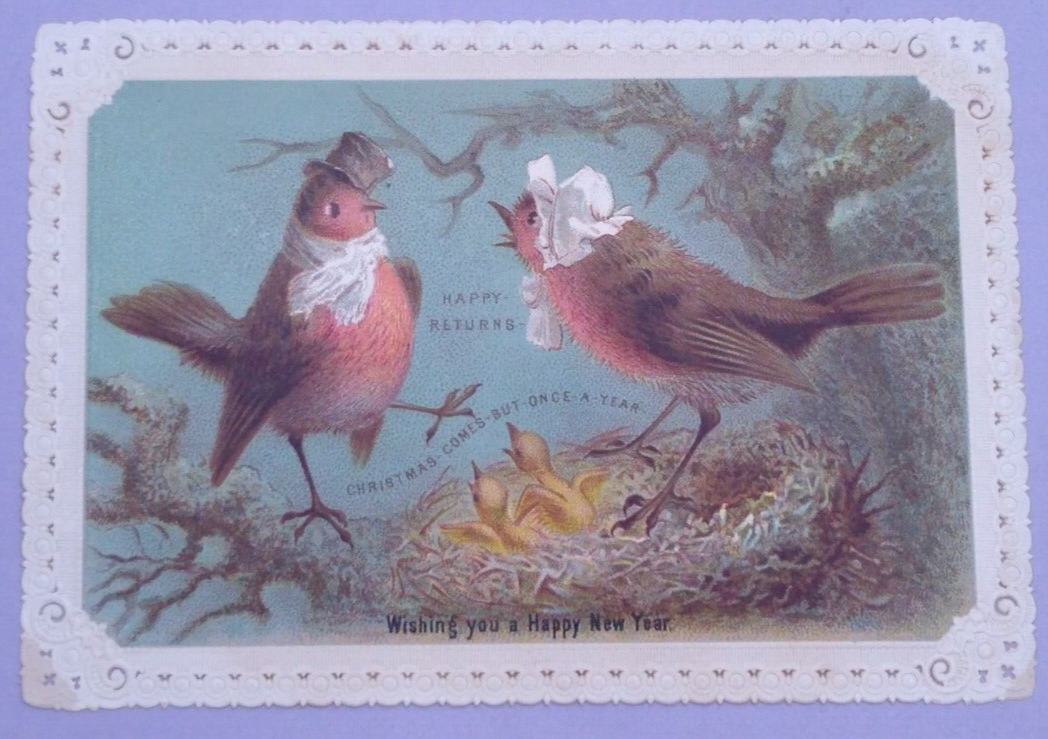 1870s - 80s Anthropomorphic Robins Birds Chicks Goodall Victorian ...