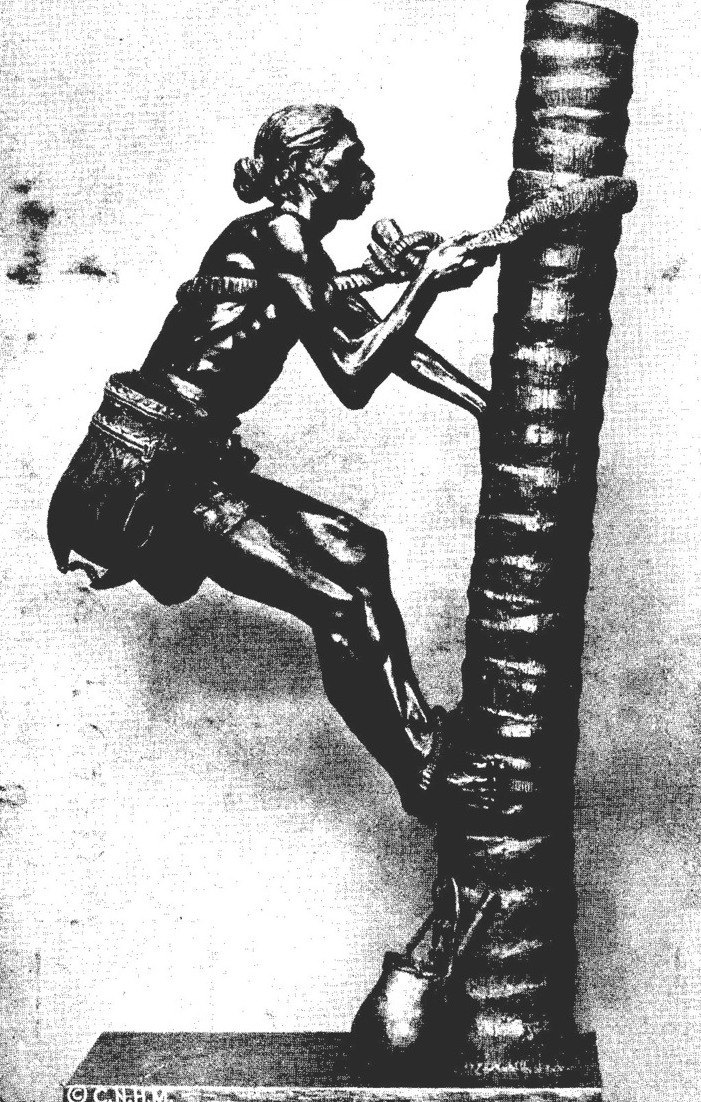 Illinois Chicago Natural History Museum Tamil Tree Climber | United ...