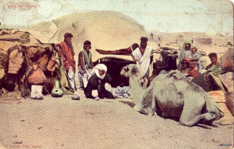 Egyptian Nomadic Tribe HUT the Bisharins | Africa - Egypt, Postcard ...