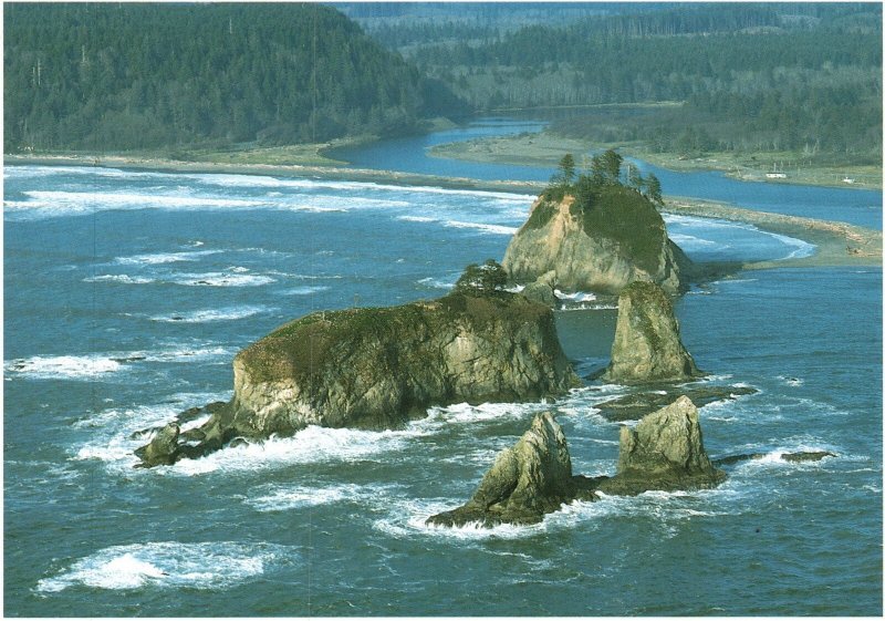 Postcard The Hoh River Meets The Pacific Ocean Olympic National Park ...