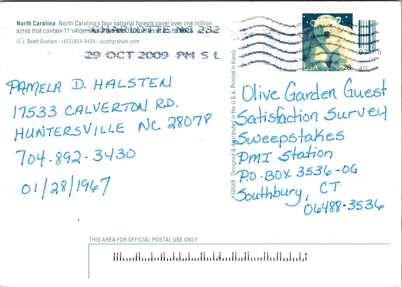 National Forest Nature NC North Carolina Landscape Chrome Postcard WOB ...