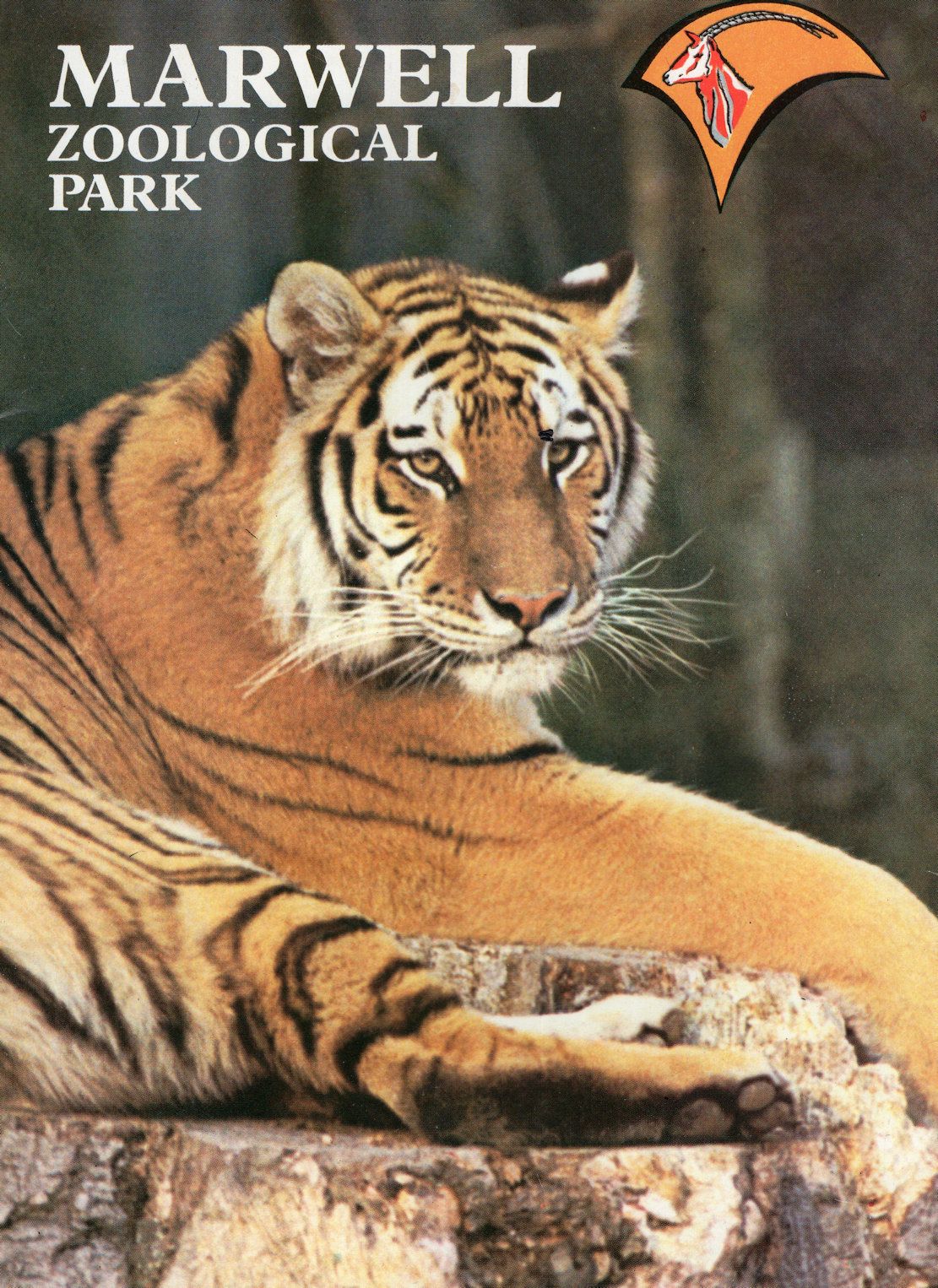 Marwell Zoological Park Zoo Hampshire Brochure Guide Map Book ...