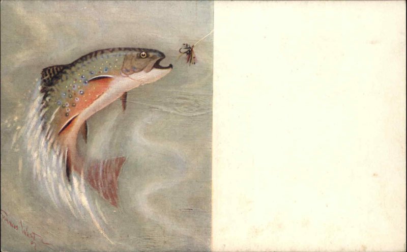 Beautiful Fly Fishing Fish Lithograph c1910 Postcard by Francis West ...