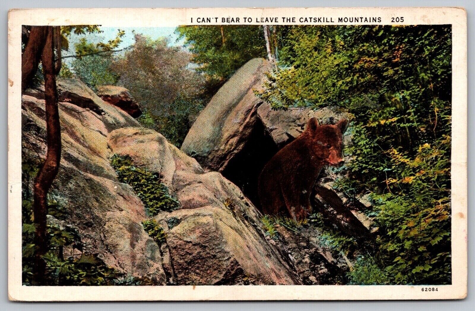 Catskill Mountains Bear Animal Forest Cave Cancel 1935 Vintage WOB PM ...