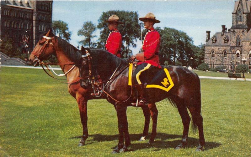 BG21408 the royal canadian mounted police horse types military ...