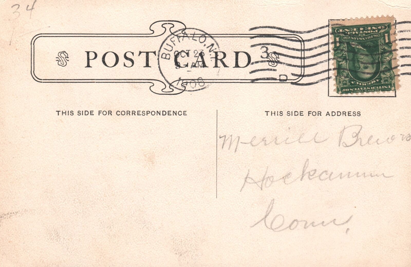 Vintage Postcard 1908 Buffalo Giant Animal Zoological Park Thick Furr ...