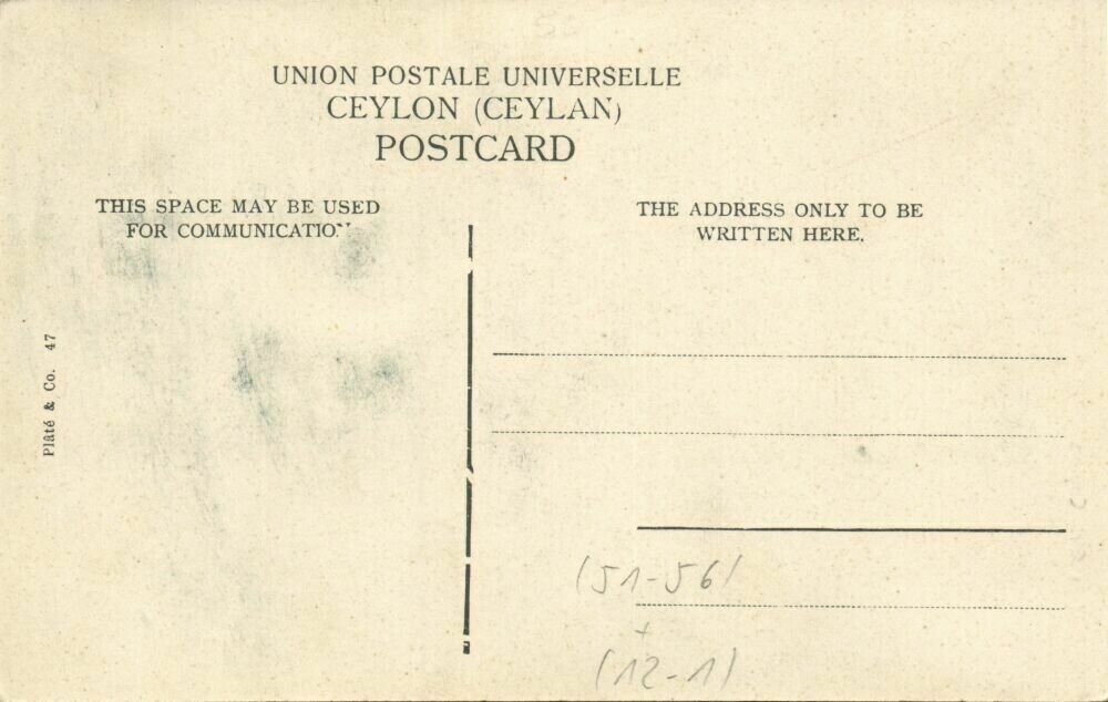 ceylon, Native Nude Rodiya Woman with Large Vase Pottery (1910s ...