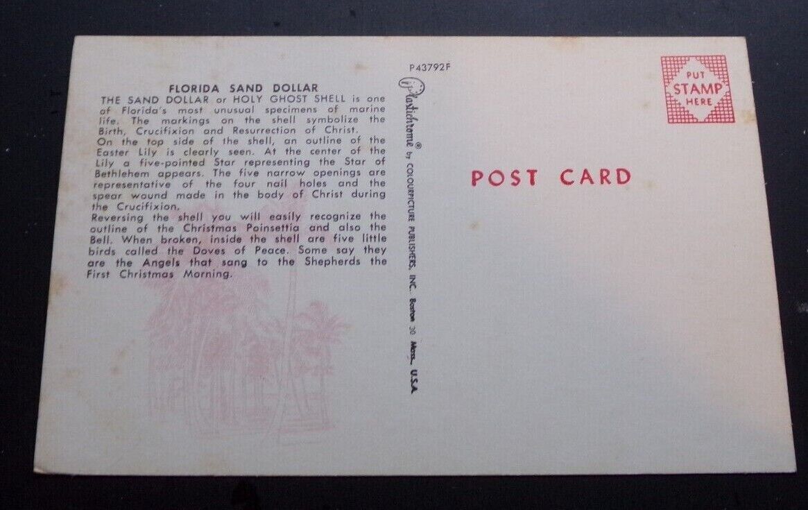 Vintage Unused Postcard - Dollars on the Florida Sand | United States ...