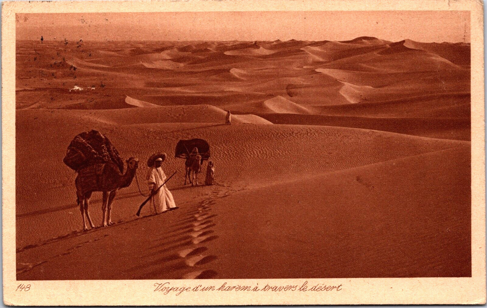 Algeria Voyage d'un Harém à Travers le Désert Vintage Postcard C143 ...