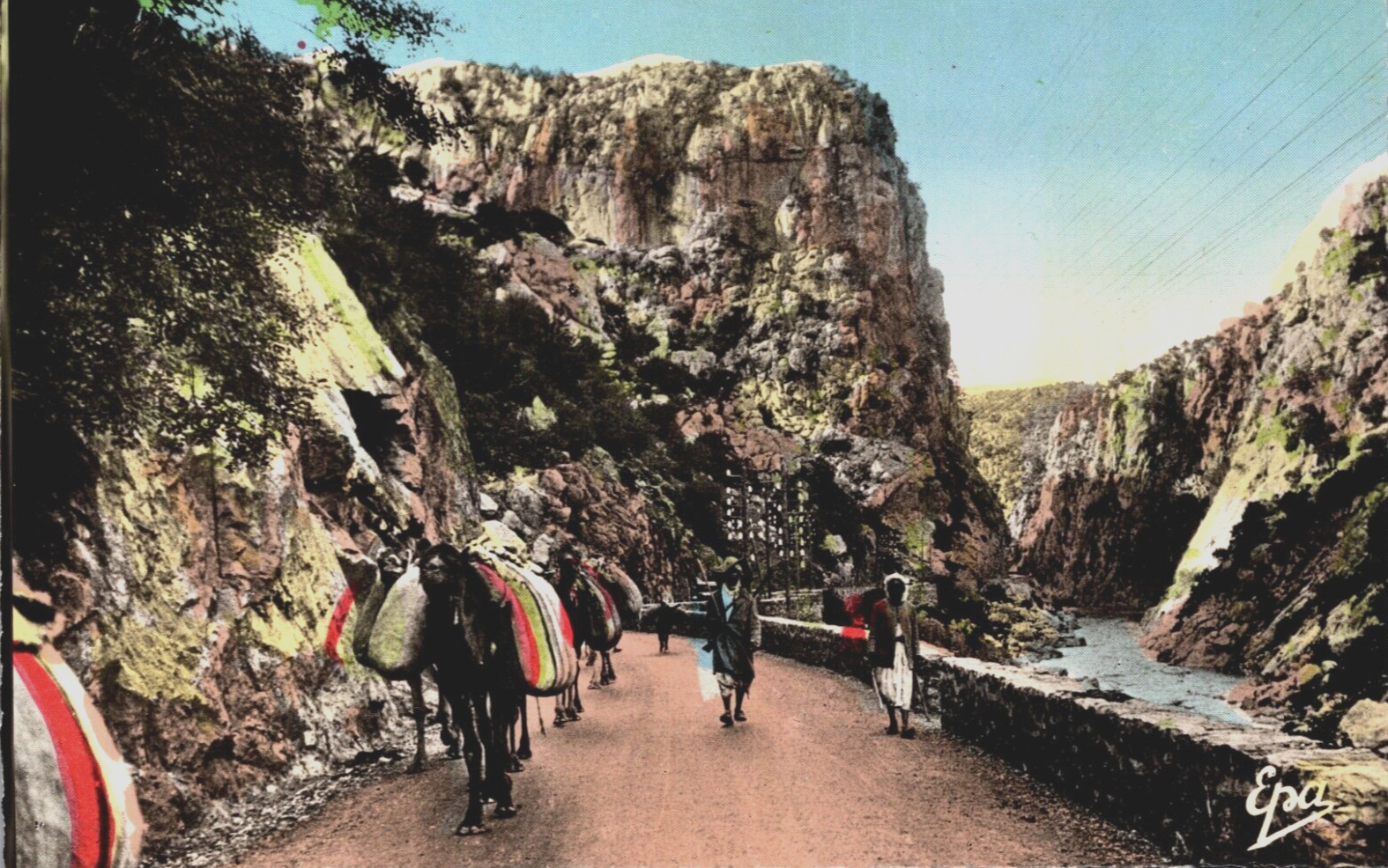 Algeria Gorges de Palestro Caravane Vintage RPPC C244 | Africa ...