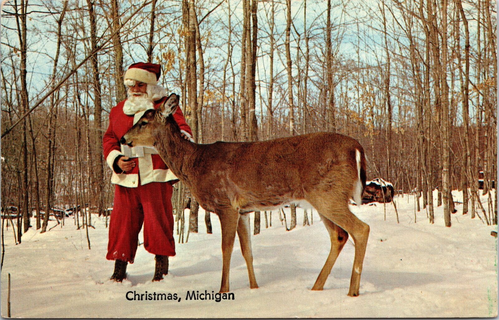 Vintage Postcard Santa Claus Forest Deer Christmas in Michigan | United ...