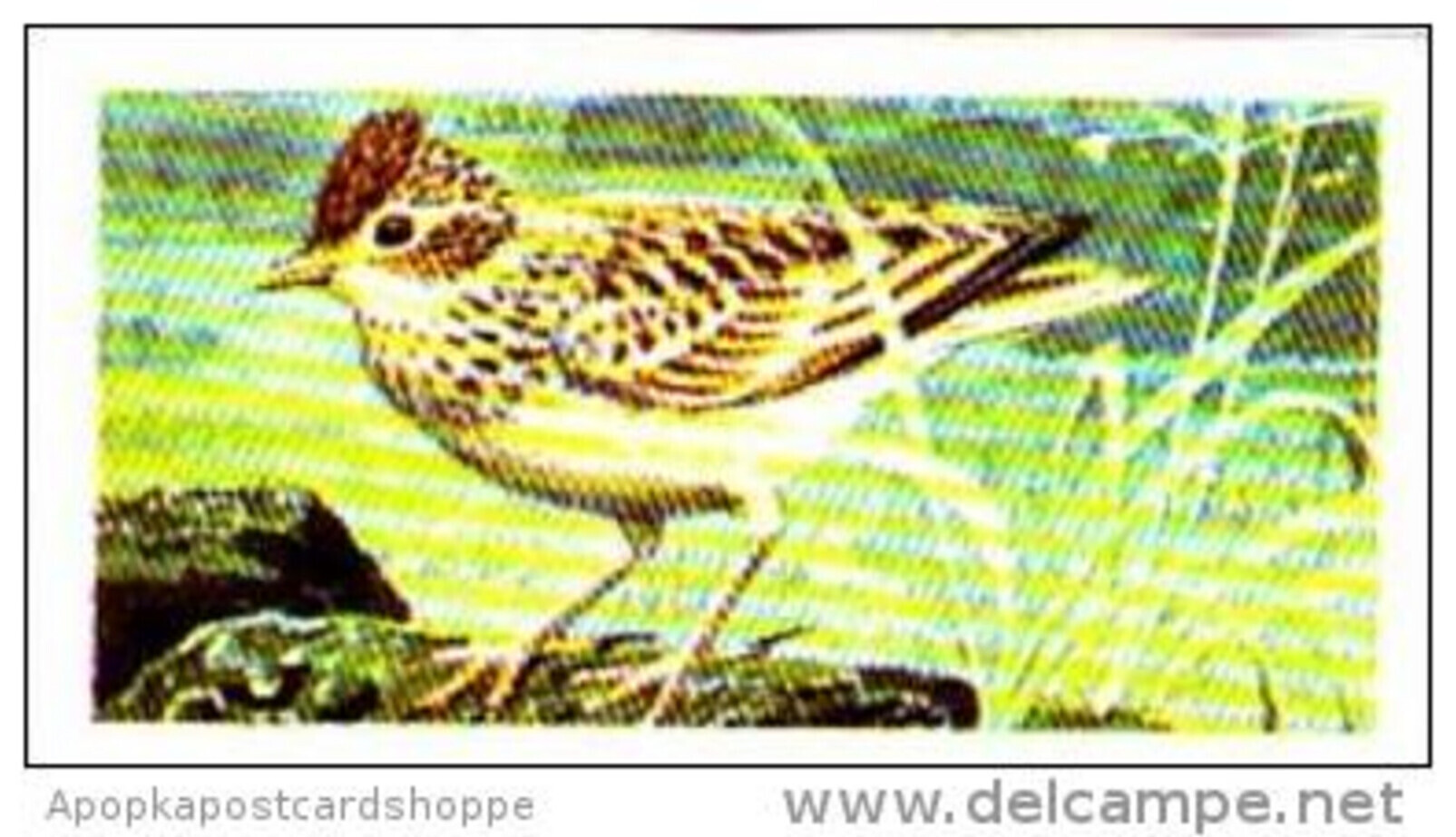 Brooke Bond Tea Trade Card Wild Birds In Britain No 13 Long Tailed Tit ...