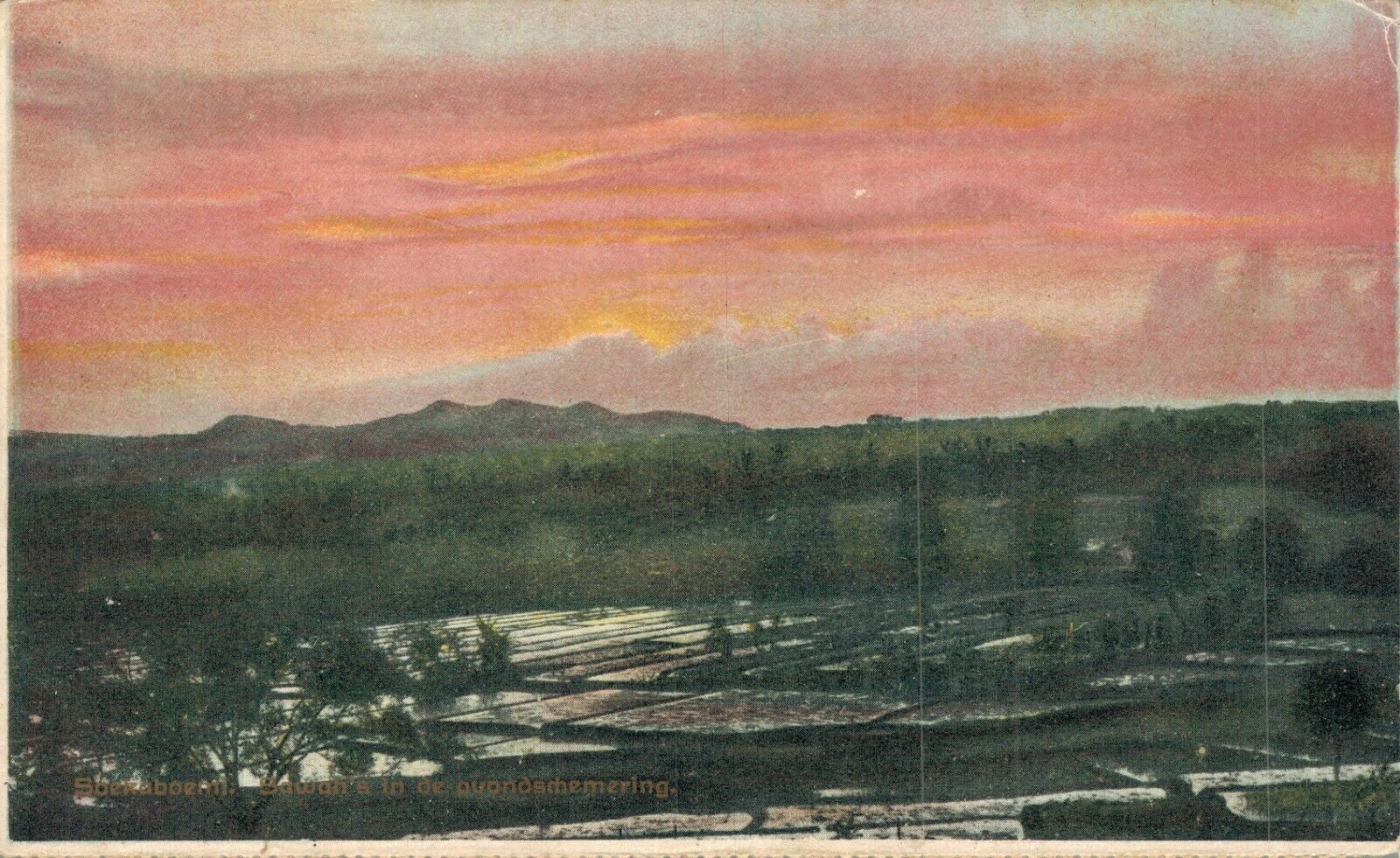 Indonesia Sakaboemi Sawa's in de avond Rice Fields Sukabumi Java ...