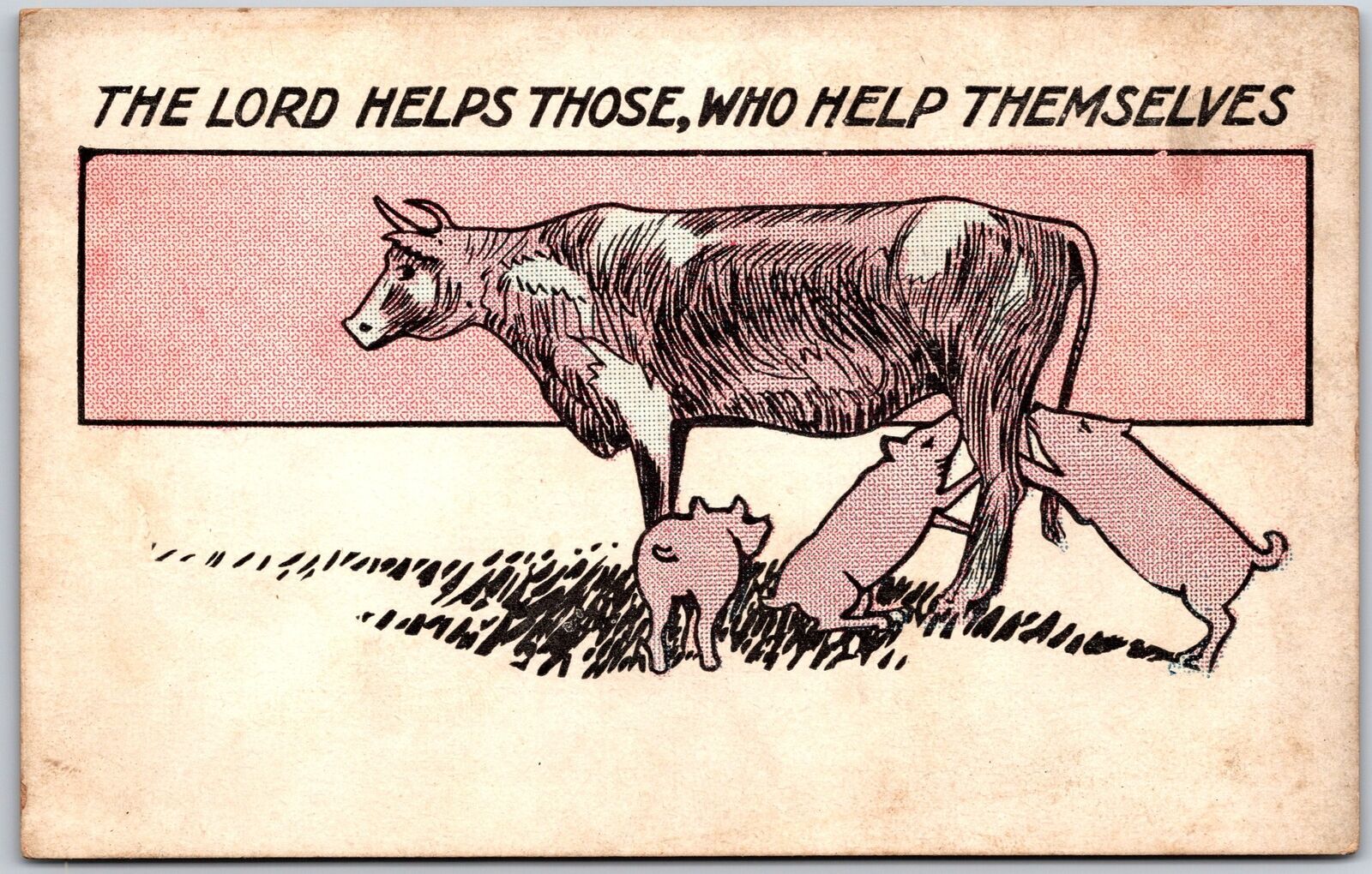 The Lord Helps Those Who Help Themselves Mother Cow & Calf Postcard ...