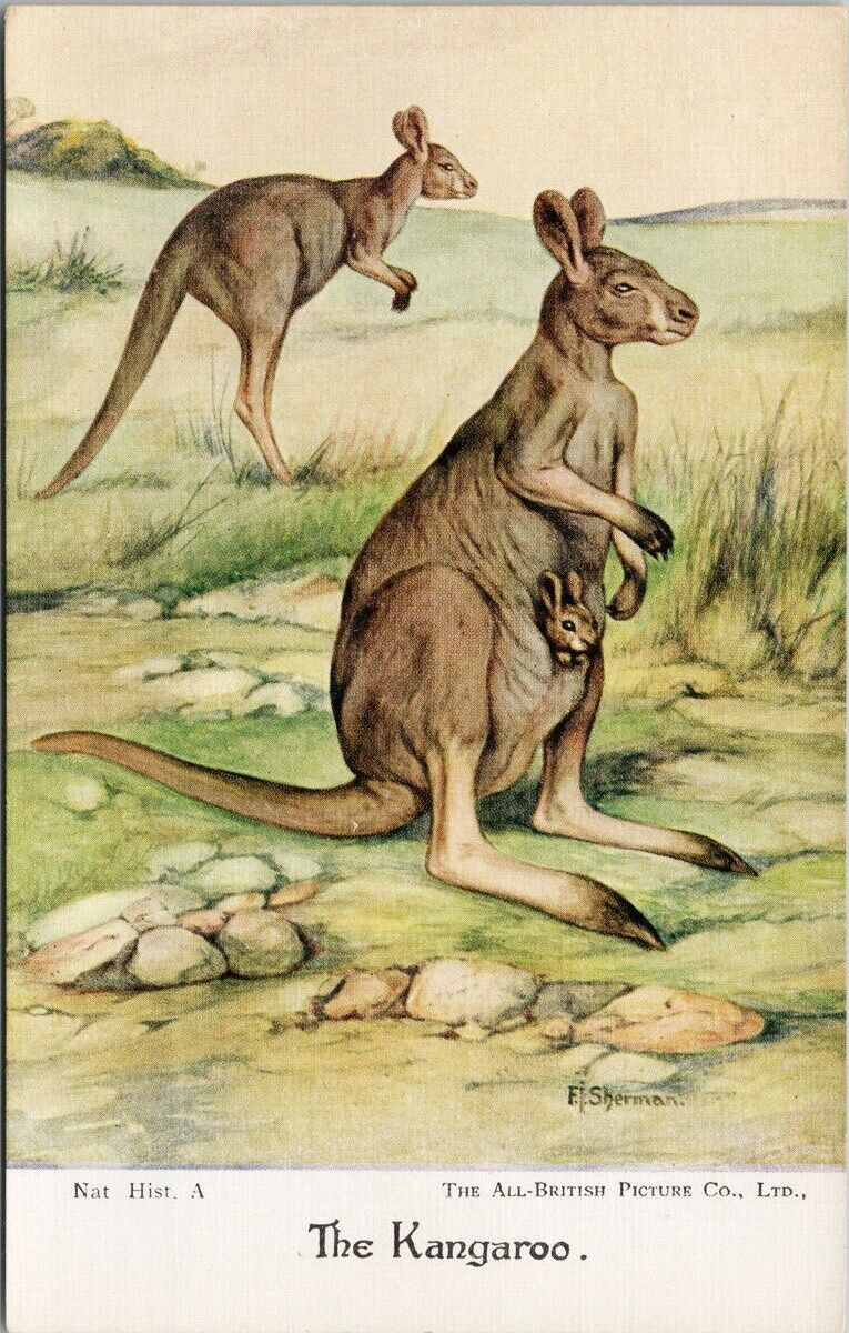 The Kangaroo Kangaroos All-British Picture Co. Unused FJ Sherman ...