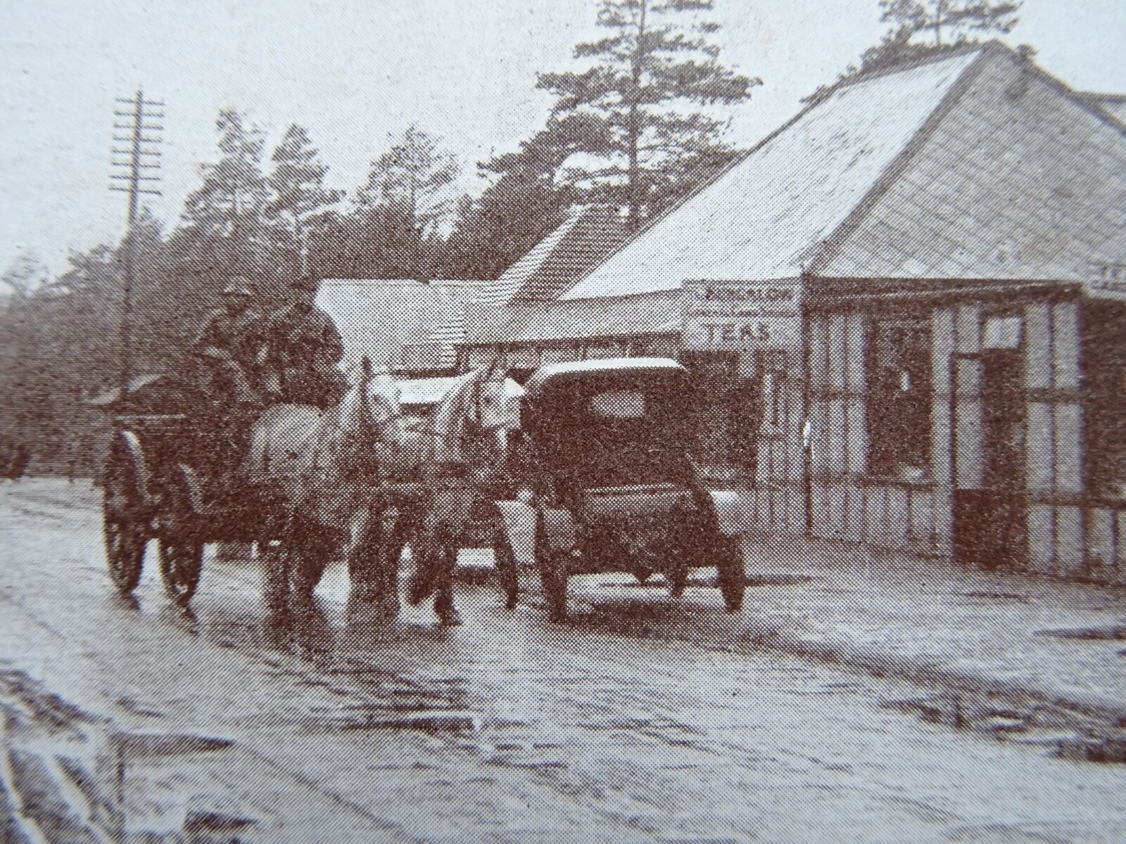 Surrey WW1 WITLEY CAMP Bungalow Tea Store THE CAMP Canadian & British ...