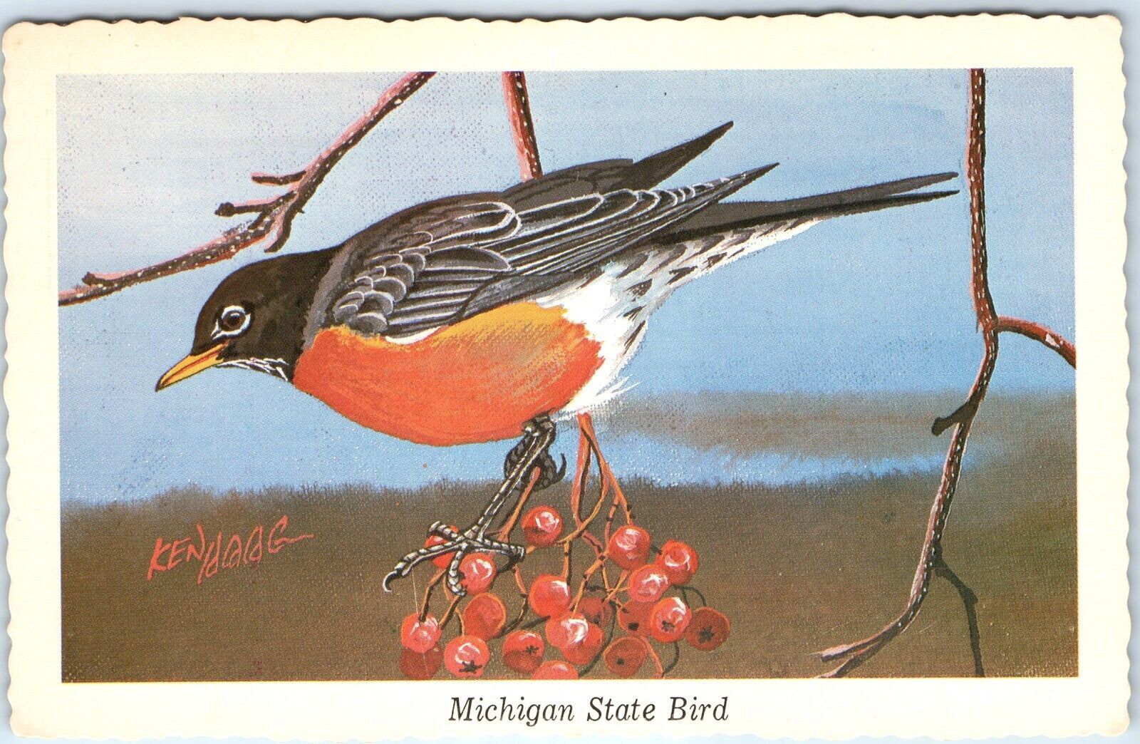 1968 MI Michigan State Bird Robin Cherry Branch Ken Haag Painting Art ...
