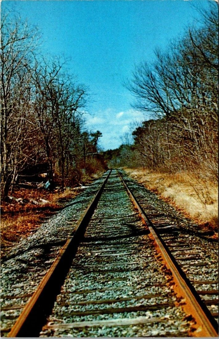 Vintage Railroad Train Locomotive Postcard - On the Right Track - Cape ...