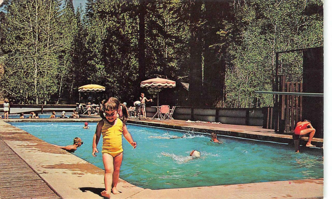 CAMP GOLD Swimming Pool University of CA Alumni PINECREST '60s Vintage ...