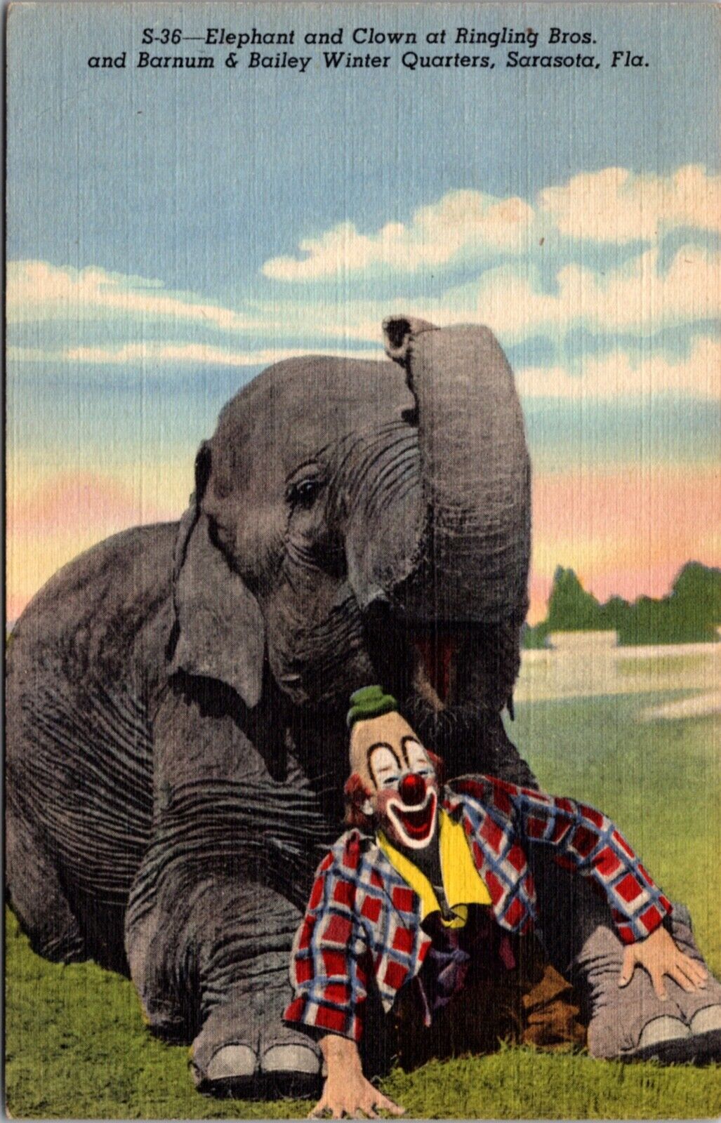 Elephant Clown at Ringling Brothers Barnum & Bailey Circus Sarasota ...