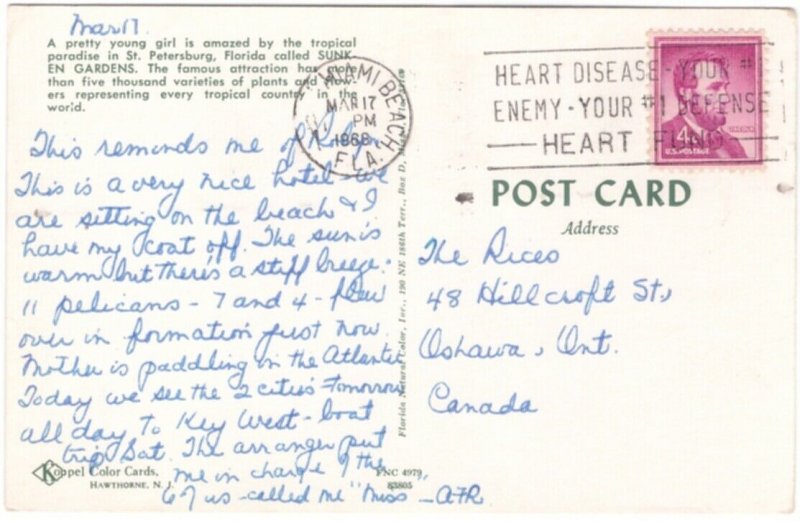Sunken Gardens, St Petersburg, Florida, Vintage 1968 Postcard, Slogan ...